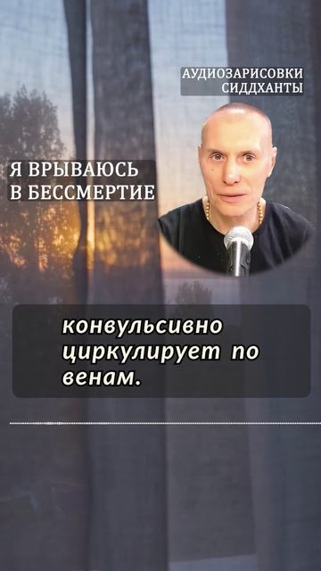 Я врываюсь в бессмертие. Аудиозарисовки Сиддханты (Вячеслава Чернина)