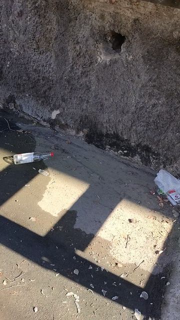 №1967 Двор П. Осипенко 48. 30 марта 2026 г., 11:45:34 VID_20260330_114454472