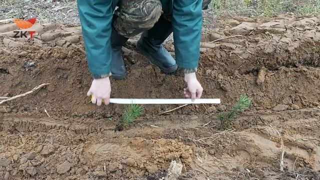 Лесопосадочная_машина_ZKT_UNIFOX_в_работе