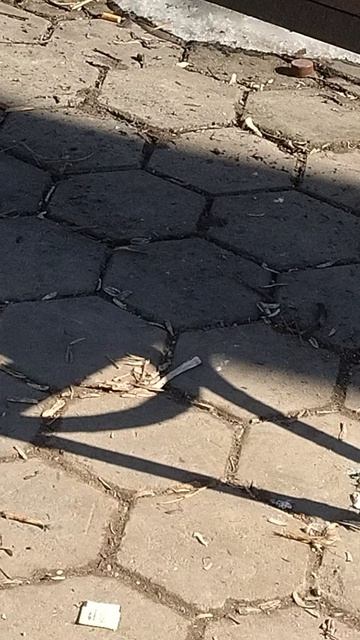 №1973 Комсомольский проспект. 30 марта 2026 г., 12:01:02 VID_20260330_120023456