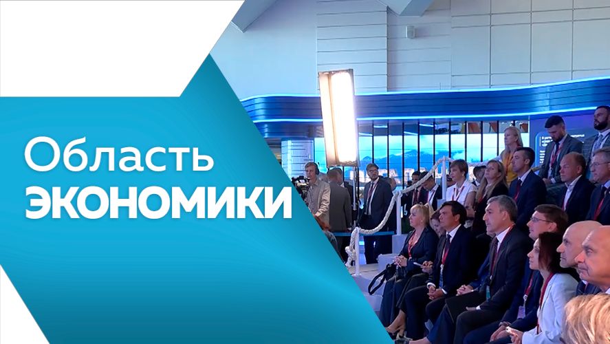 Область экономики № 178