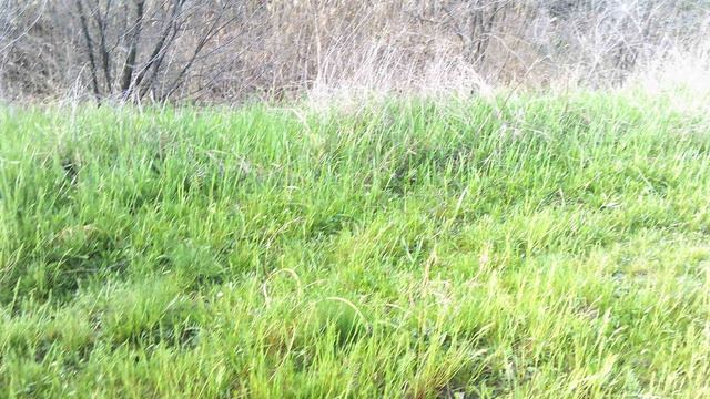 DSCF0002 Дорога к набережной пос Рождественка Невинномысск