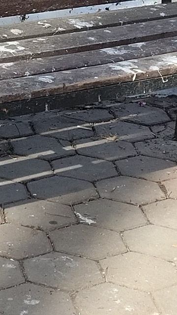 №1990 Комсомольский проспект. 31 марта 2026 г., 11:41:47 VID_20260331_114106935