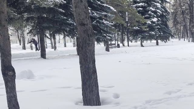 "  ПРЕДЧУВСТВИЕ " ИСТОРИЯ ИЗ ЖИЗНИ.