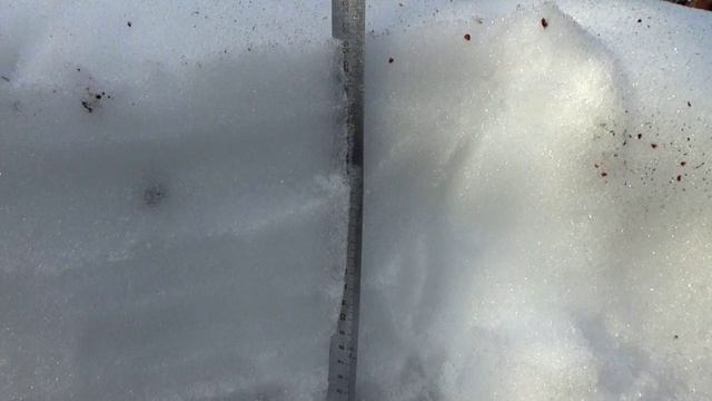 31.03.2026 Высота снежного покрова во Владимирской области. Город Вязники