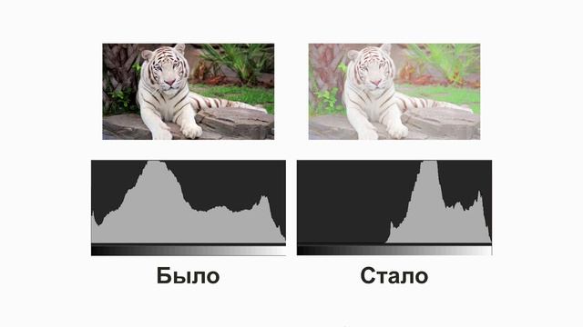 CorelDRAW 2021 - 15. Теория. Подробнее о RGB и CMYK, цветовая гистограмма