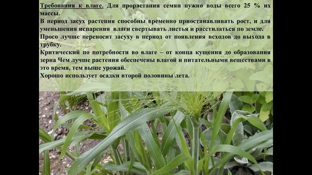 Комплектование МТА - 30.03. 231 группа