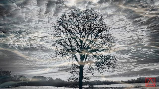 БЛАЖЕННАГО АВВЫ ЗОСИМЫ СОБЕСЕДОВАНИЯ ч9