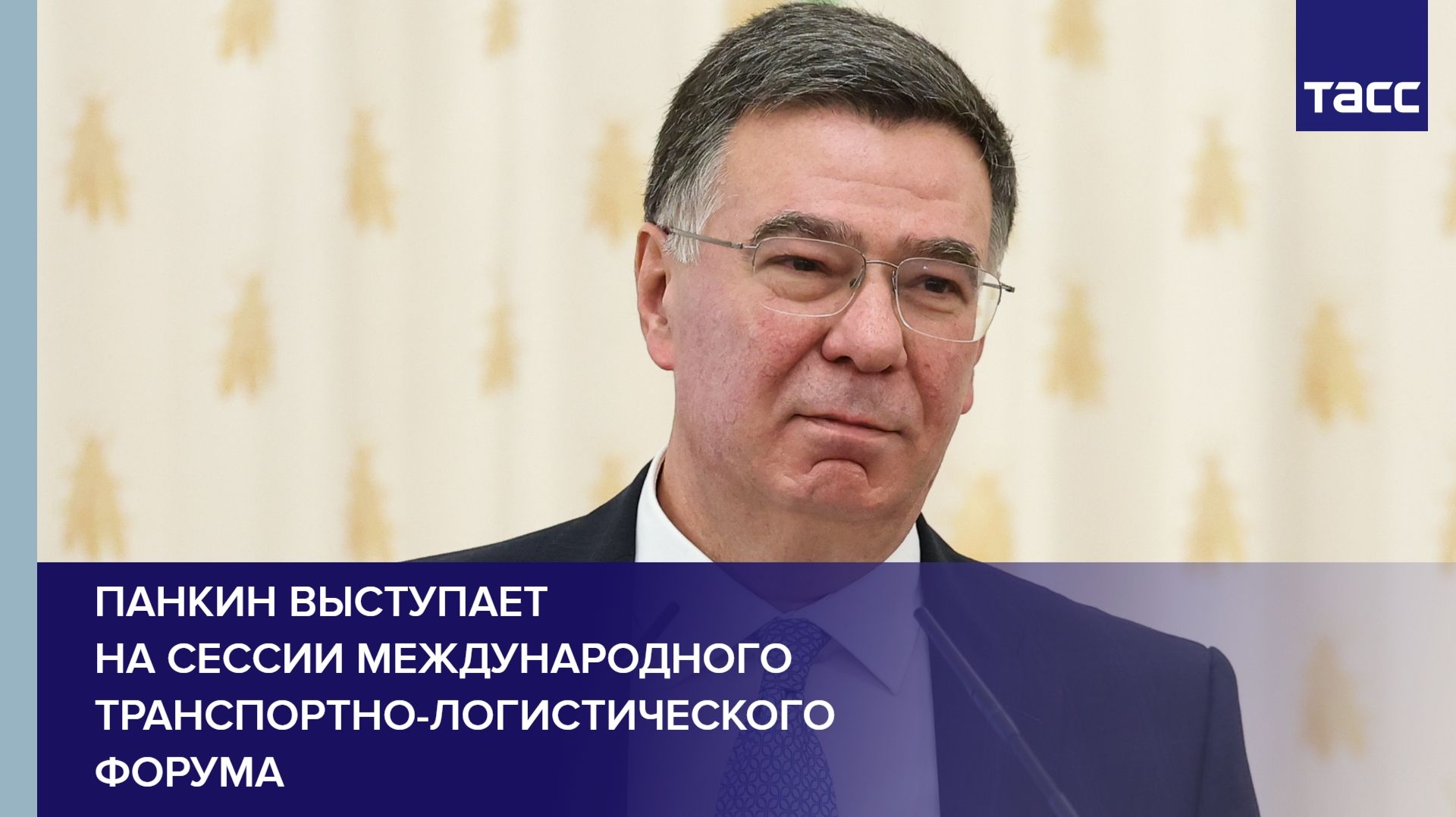 Панкин выступает на сессии Международного транспортно-логистического форума