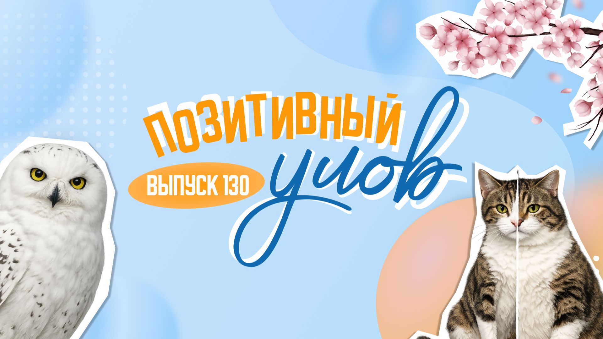 Цветущая сакура в Краснодаре и полярный день в Норвегии. "Позитивный улов"