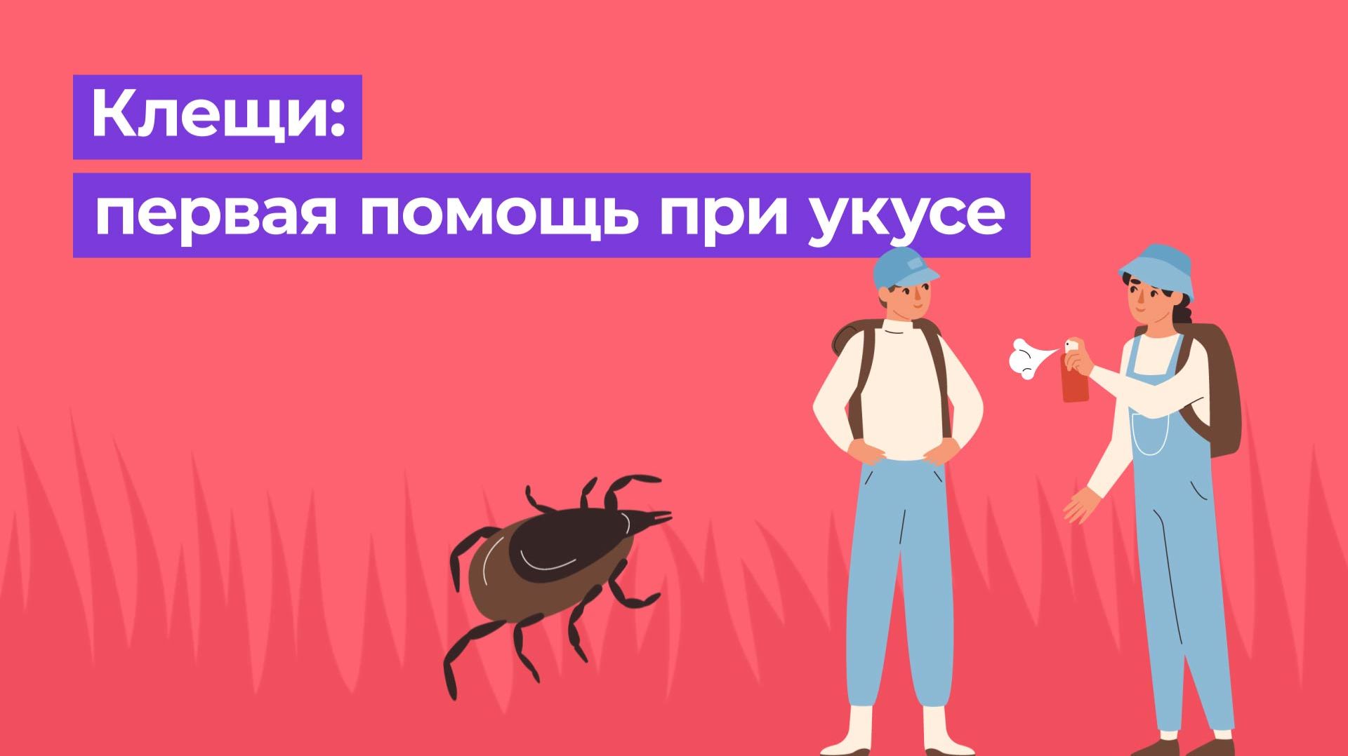 Клещи: первая помощь при укусе