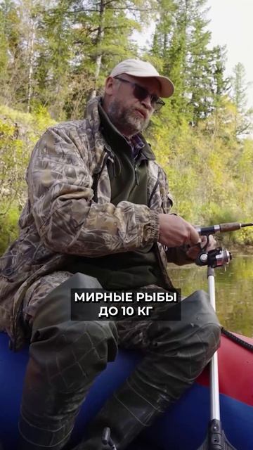 🐟📍Нормы вылова рыбы в 2026 году