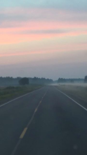 Спокойный путь #shorts #путь #вдороге #metaldetecting #другаяжизнь