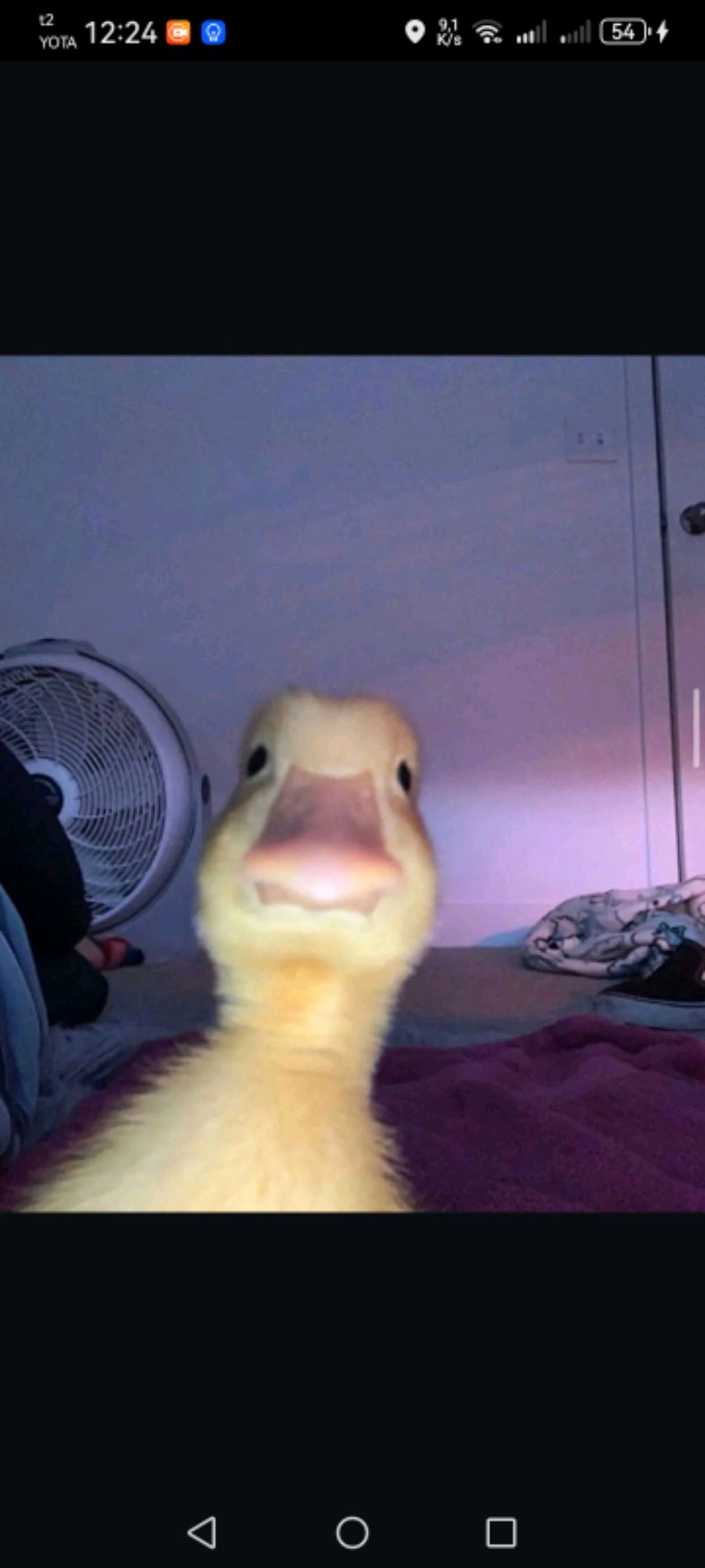 Вы пишите ответы а я на них отвечаю или делаю (задйди пж будет наверно интересно!)