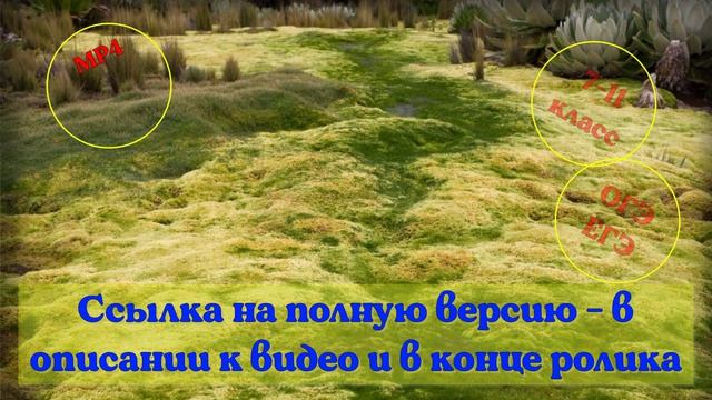 Моховидные или Мхи. Общая характеристика. Видеоурок