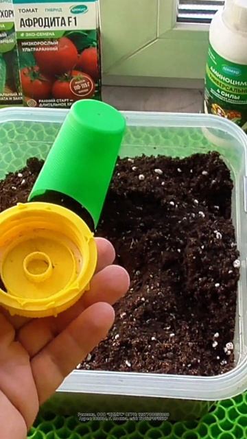 Вот почему рассада ТОМАТОВ будет крепкой и урожайной при правильной посадке и ПЛОДОРОДНОЙ почве