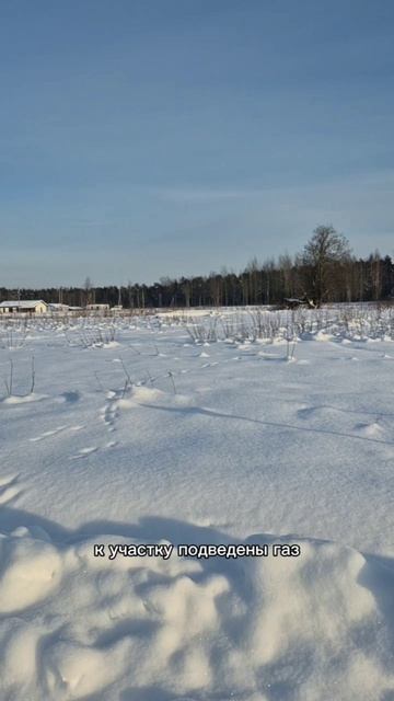 #УчасткиТапио_участок №202