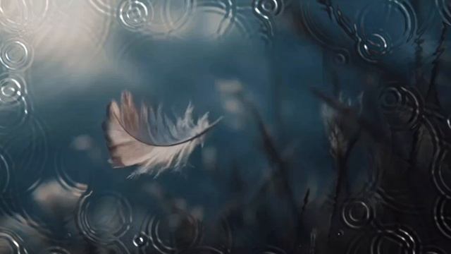 Дождь прощения.