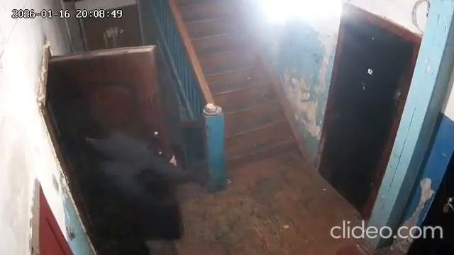 Мужчина стрелял в собаку в подъезде жилого дома в Ангарске