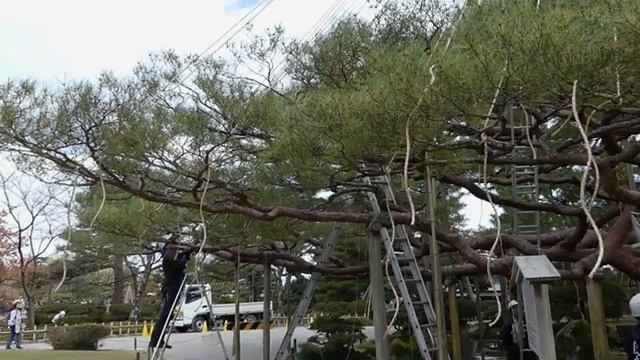 Строительство юкицури - 3