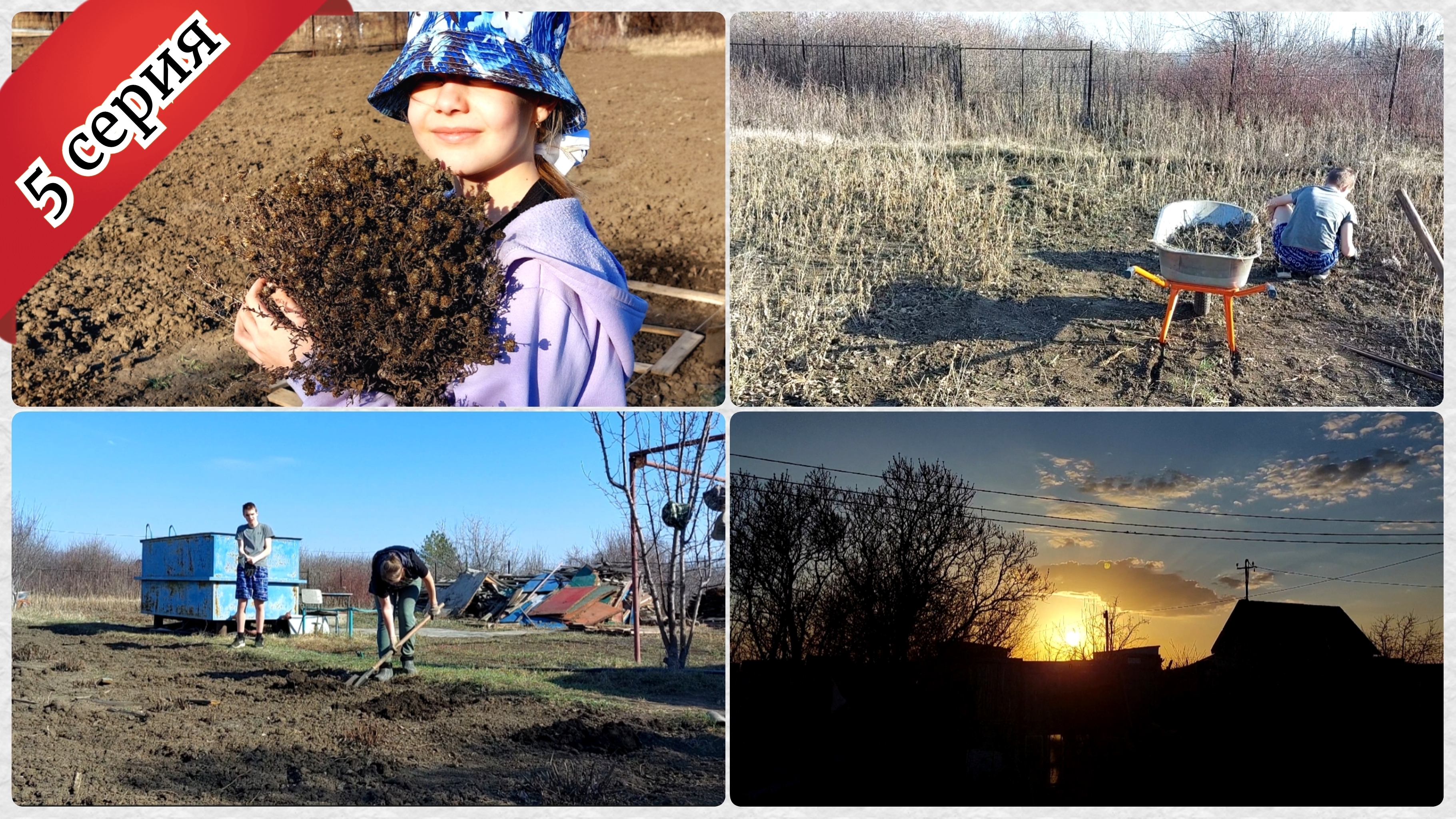 Работаем на даче 🔥 Пересадила цветы. Солнечная погода. 5 серия