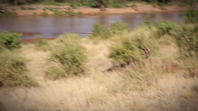 Нацпарки Африки-зоопарк наоборот!  Все как у зверей!