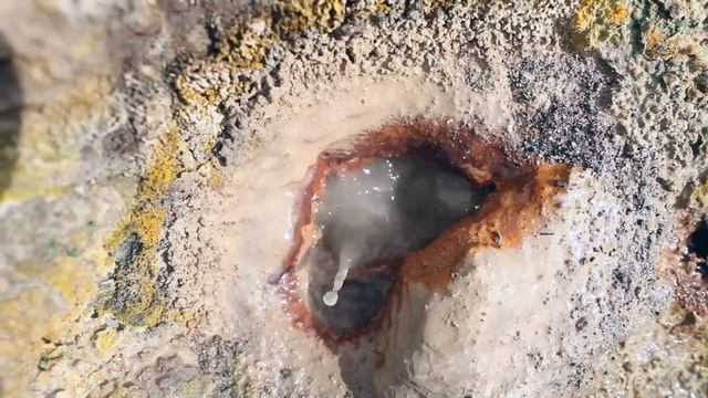 Камчатка, экстрим-кому в аду жить хорошо!  Всё как у зверей!