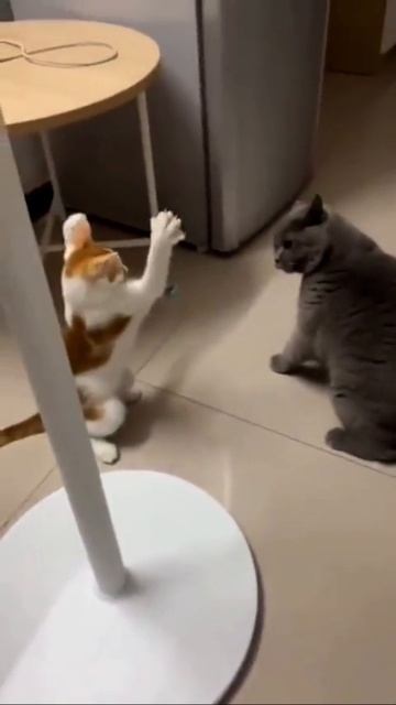 БУНТ ПОДАВЛЕН...