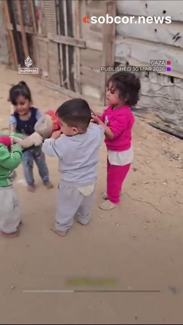 Дети повторяют то, что видят вокруг себя. Дети Газы играют в похороны.