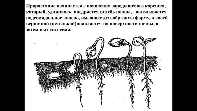 Комплектование МТА - 31.03. 231 группа