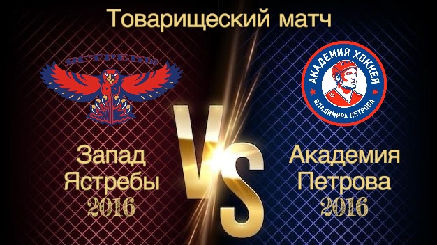 Товарищеский матч. Детский хоккей. Запад Ястребы и Академия Петро