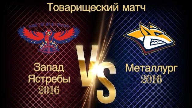 Товарищеский матч по хоккею. Запад Ястребы и Металлург.