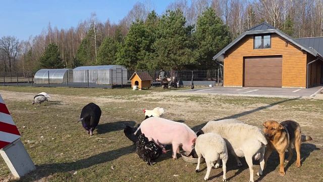 Хутор 1.04.2026