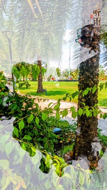 ВЬЕТНАМСКОЕ ЧУДО