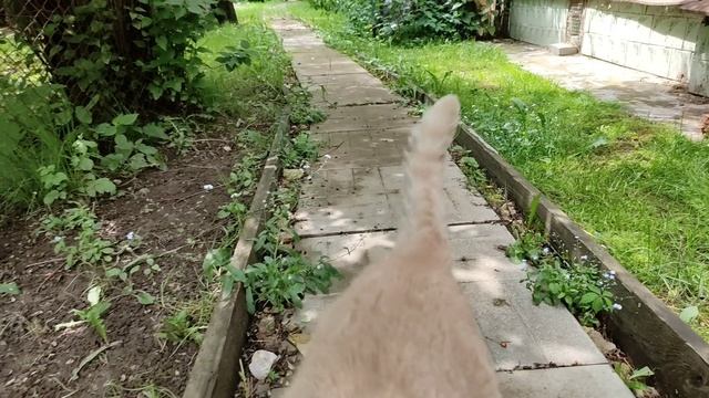 Эх. хорошо летом на участке 1 часть