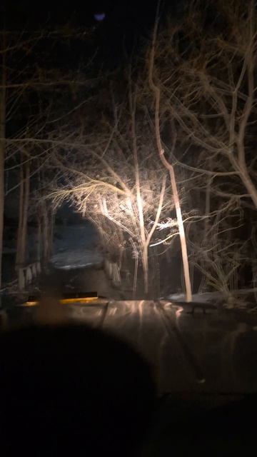 Навели в селе шороху на старом уазе