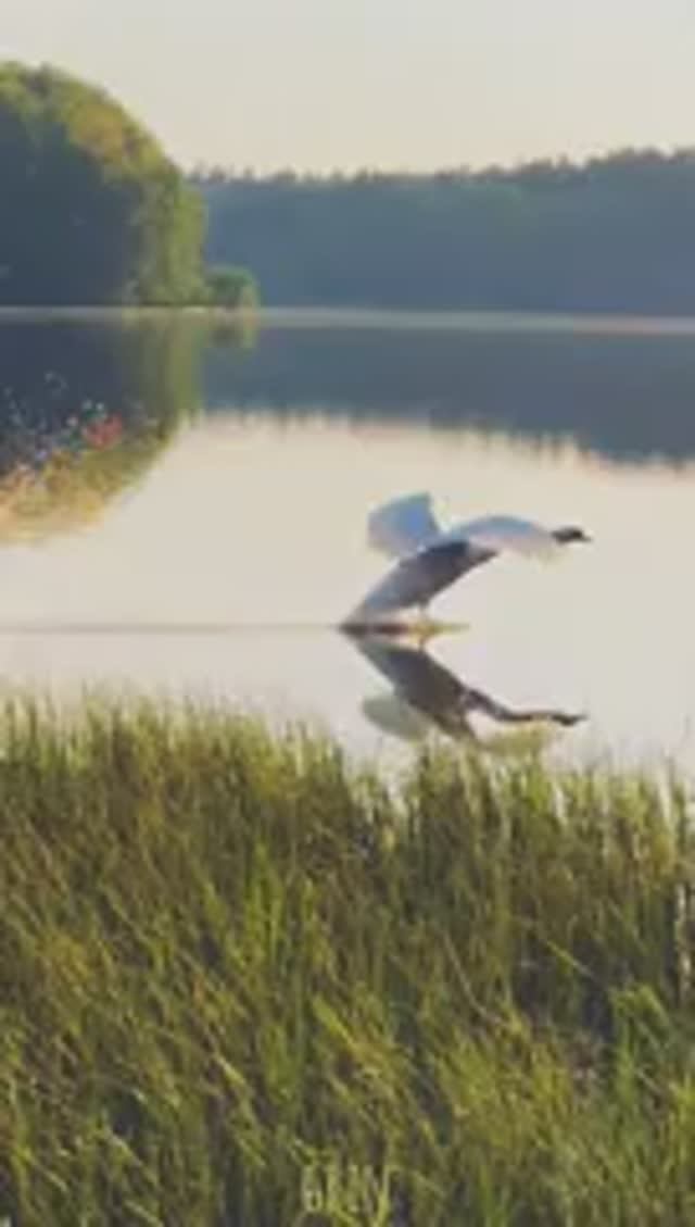 Чуть-чуть не хватило...😅