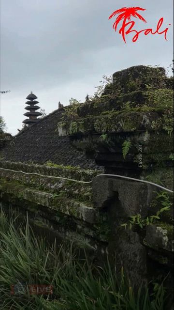 БАЛИ НЕ СЕЗОН