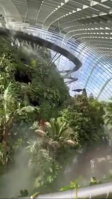 Аэропорт Чанги в Сингапуре считается лучшим аэропортом в мире. Сад бабочек, сад орхидей, самый больш