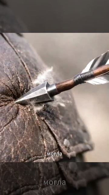 Главная броня монголов