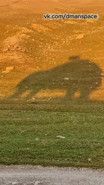 Лада Веста в проекции