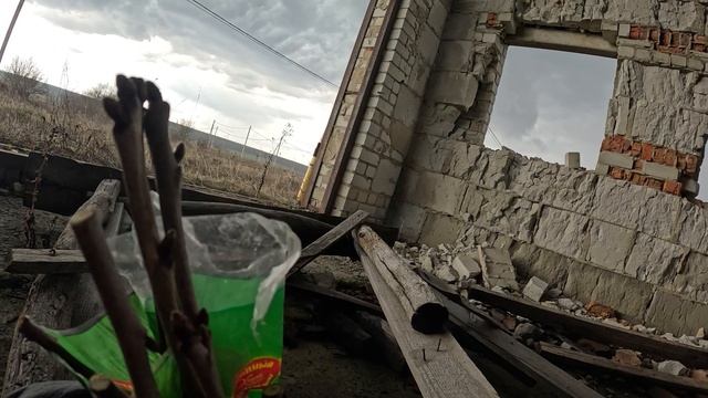 ОТец пошел привать деревья 1 апреля 26г