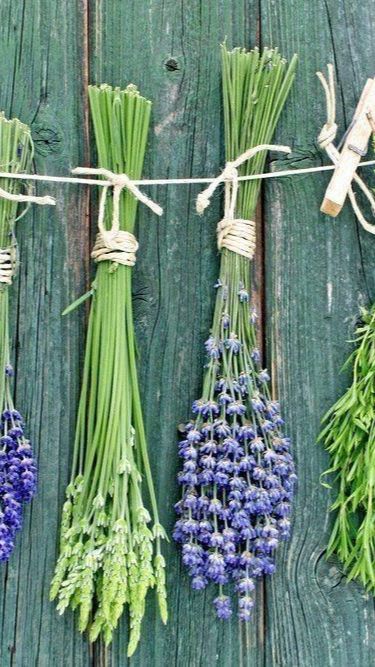 НОВАЯ РУБРИКА НА КАНАЛЕ. СМОТРИТЕ. ДЕЛИТЕСЬ.