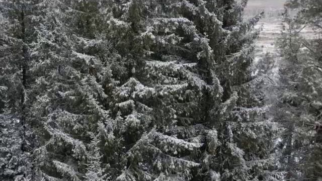 КОМЕДИЯ РОК  Сборник Клипов - Лучшее № 8.