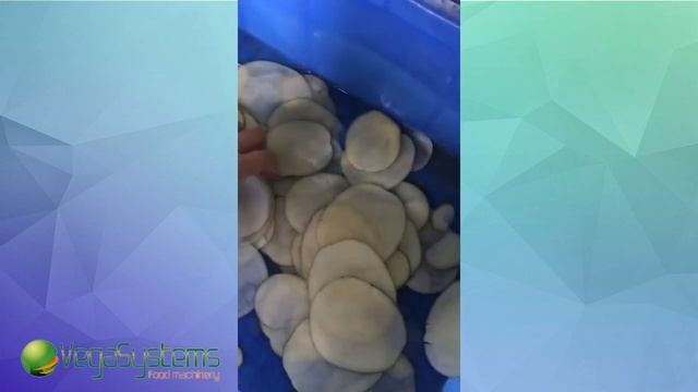 Машина для нарезки чипсов из картофеля, батата, кабачка, других овощей Вега/Vega Chips 1500