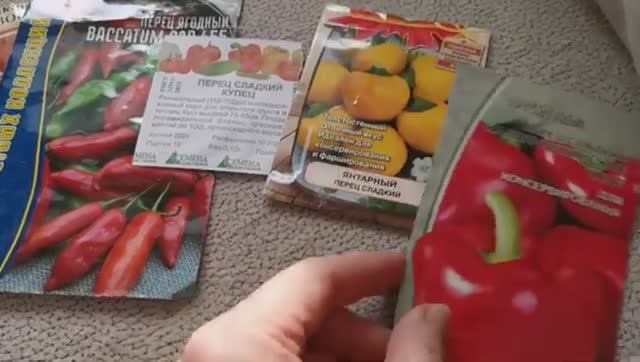 ОБЗОР сортовых перцев которые посадила 03.03.25