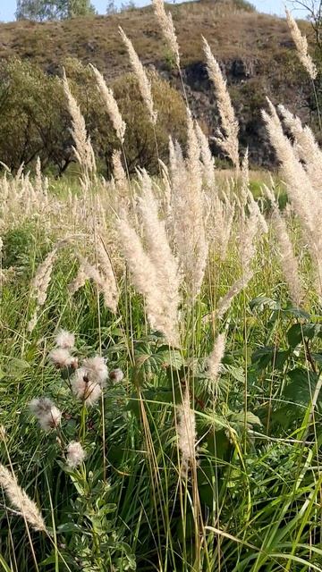 Чистый лист./05.09.2021г.