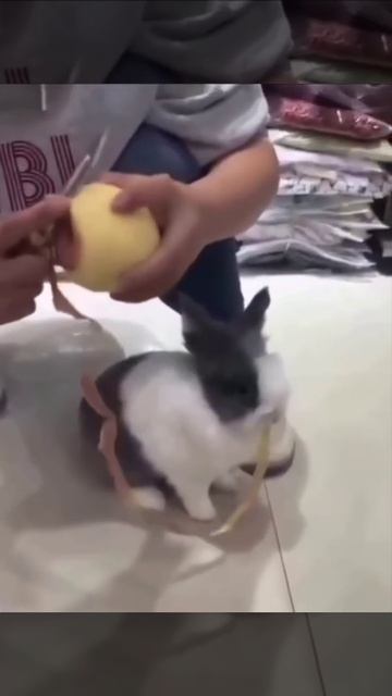 Работа в команде