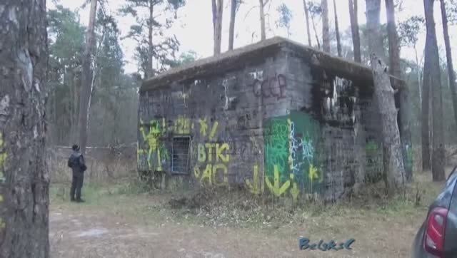 Бункер Гитлера в лесу. Смоленск. Красный Бор.