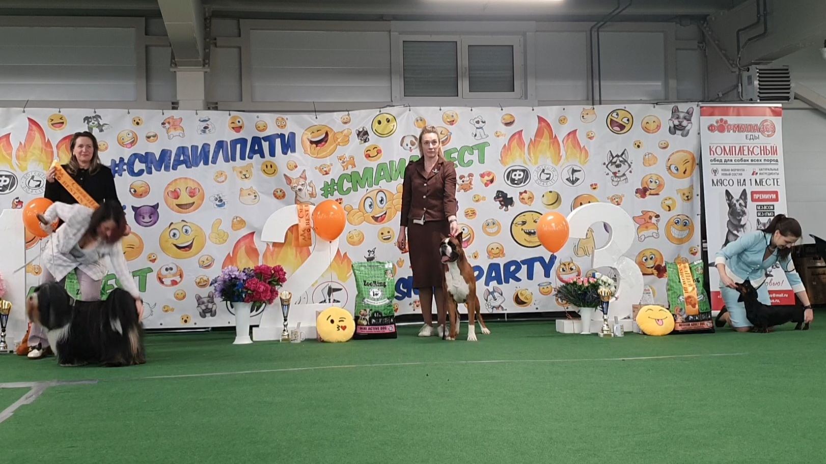 08.03.2026, СПб. Клуб "ПРЕЗИДЕНТ" (РКФ,ОАНКОО). Выставка собак всех пород "СМАЙЛ ПАТИ-2" (CAC, ЧРКФ)